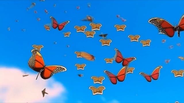 В.Гафт - "Бабочка"