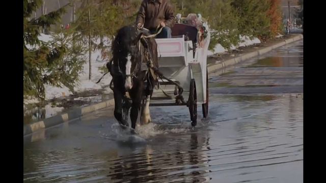 Бунева Валентина. Необычное в обычном. Лапки