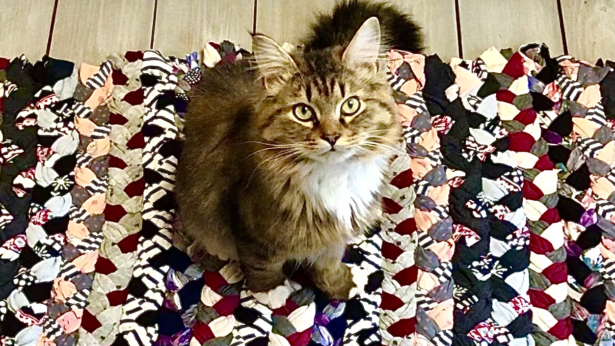 Как сделать Коврик для дома из старых вещей своими руками Мастеркласс