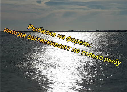 Туапсе 14.02.2022 набережная Туапсе: иногда рыбаки вытаскивают не только форель.