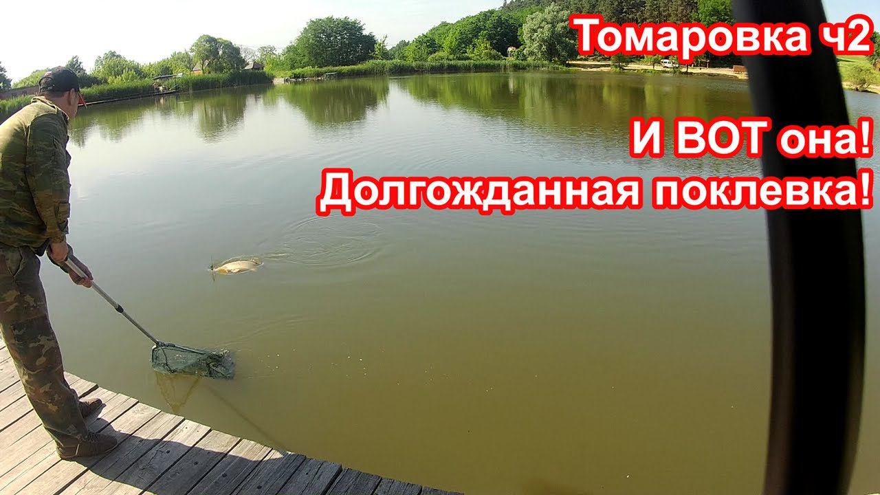 [20.05] Рыбалка рано утром. Долгожданная поклёвка. Взял карпа. Томаровка ч2. Дальний заброс. Карпфиш