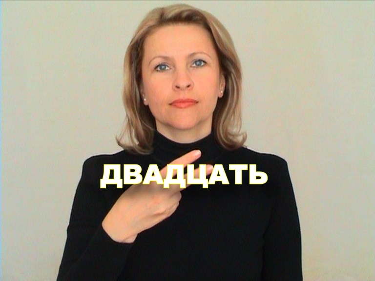 ЖЕСТОВЫЙ ЯЗЫК. СЛОВАРЬ. Двадцать