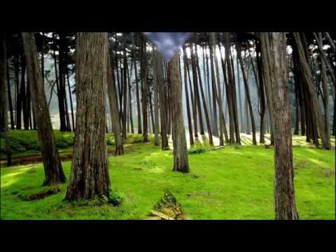 Игорь Корнелюк    Нравятся ли вам мои цветы     Первая встреча