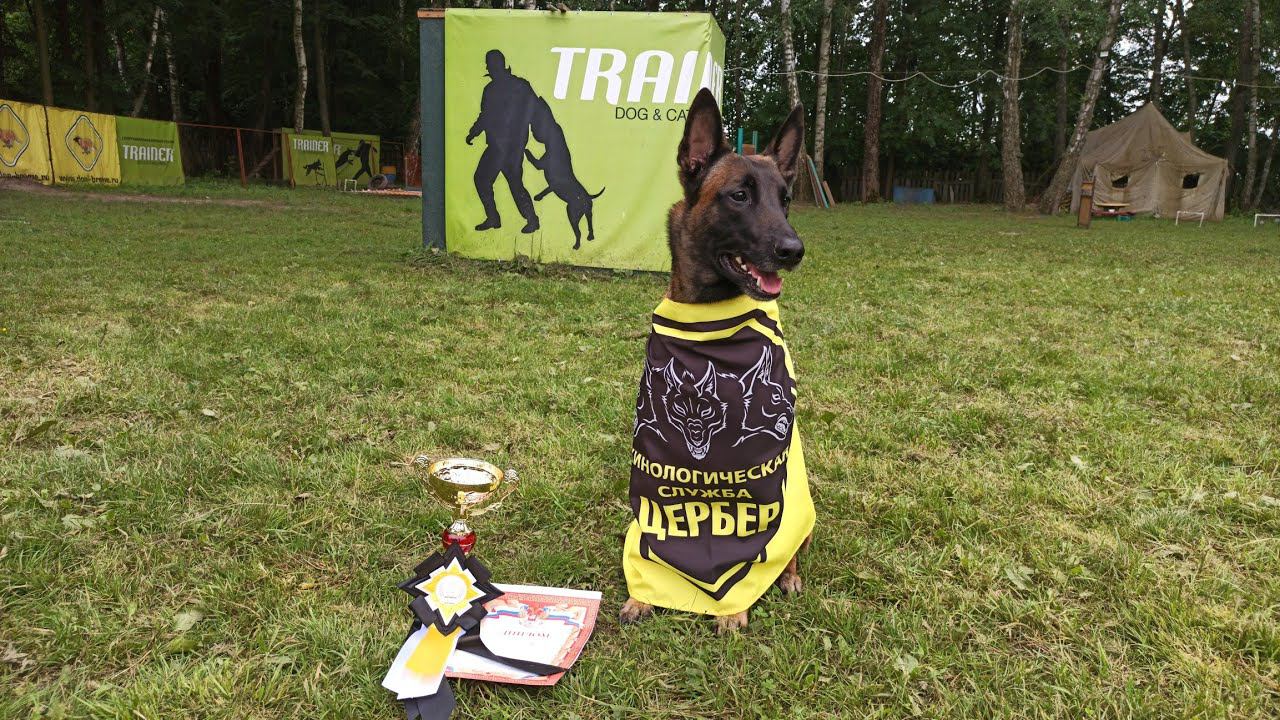 Mondioring, CAT-3 Чемпионат РКФ