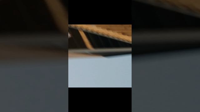 VID_20240725_215129.mp4