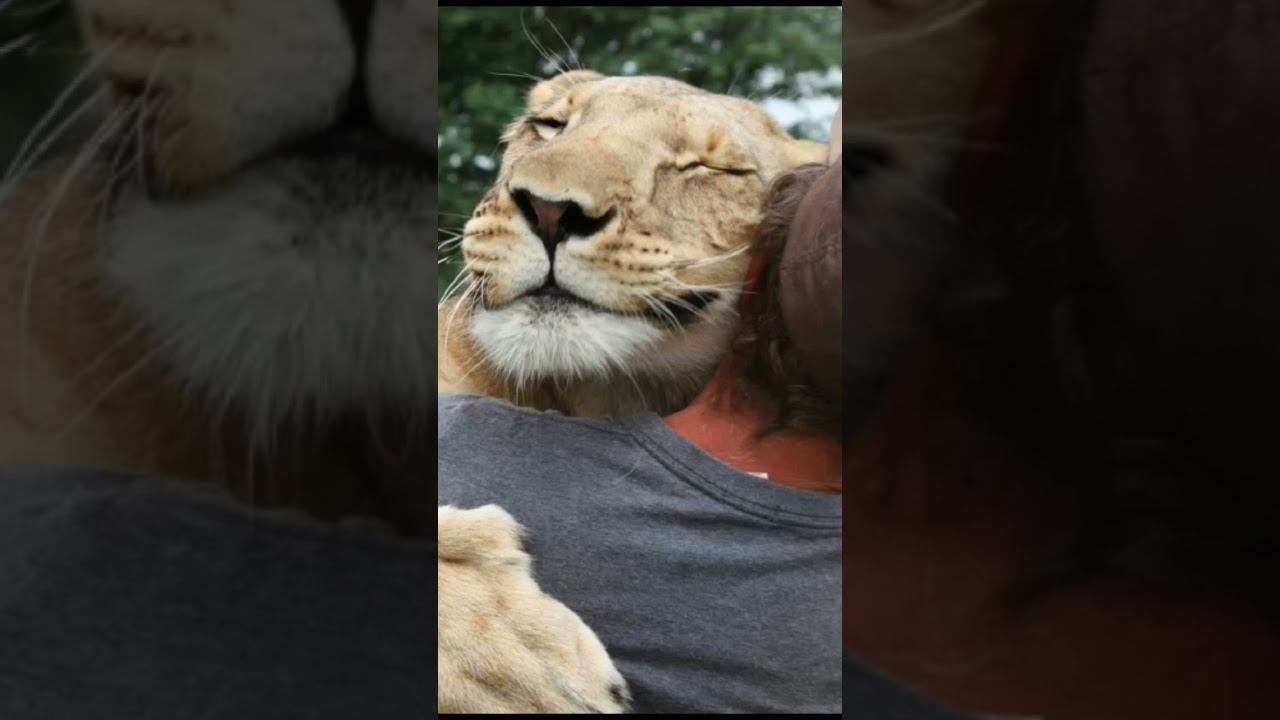 Разделение на национальности - Божья благодать покинула