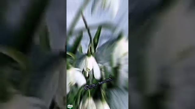 1 февраля. Скоро весна!