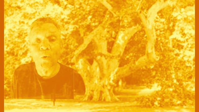 XERXES. OMBRA MAI FU . ALEXANDR PROKLOV