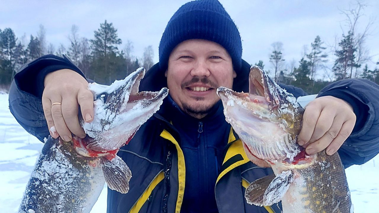 Щука на жерлицы в глухозимье, Pike on the vents in the wilderness