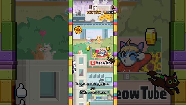 Получаю кота дракона или пуш 25к тотал очков