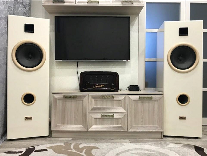 Напольная АС на динамиках Beag hx 301-8 и ht101-16