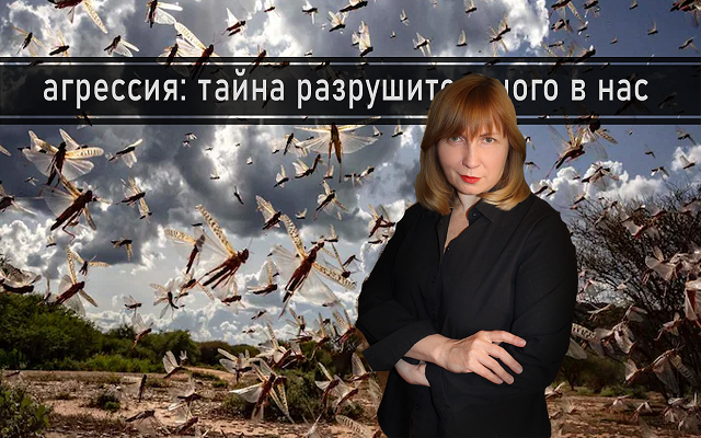 АГРЕССИЯ