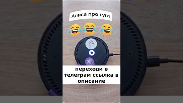 Алиса ты знакома с гуглгом? лучшие приколы 2022 / яндекс Алиса жгёт