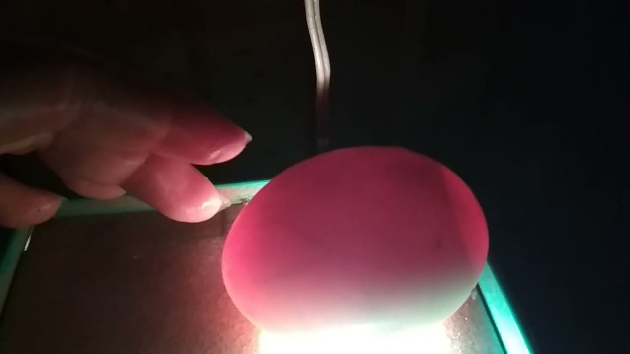 Смотри чем можно овоскопировать яйца//Овоскопирование диопроектором.