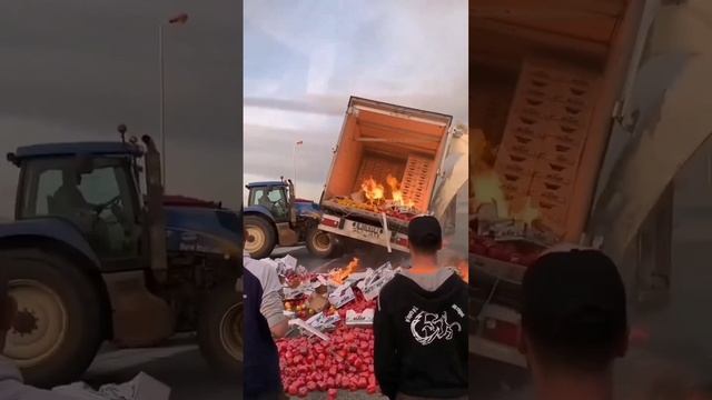 Театр абсурда или воздух свободы?