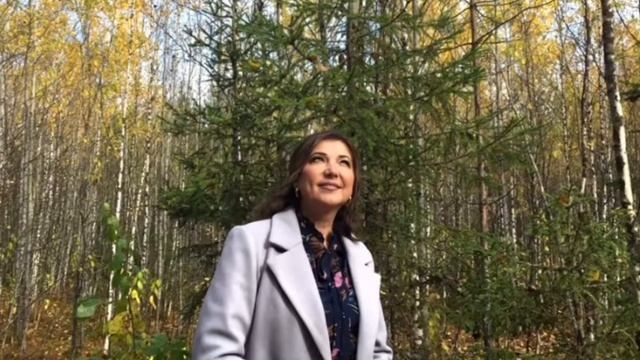 Зелёный остров. Осень.