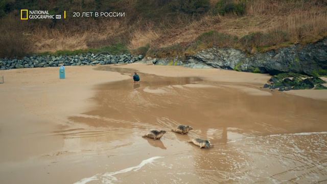 Европа с высоты птичьего полёта 3 сезон 5 серия «Ирландия» (документальный сериал, 2020)