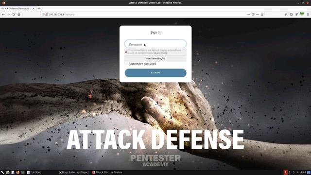 2.13. HTTP Basics Lab - Part 2