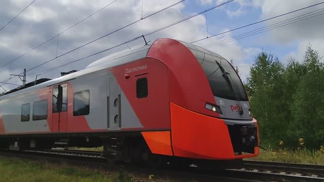 Ласточка в НиНо