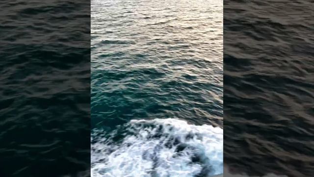 Друзья, будет приятно если подпишитесь, раз уж зашли сюда)🌹