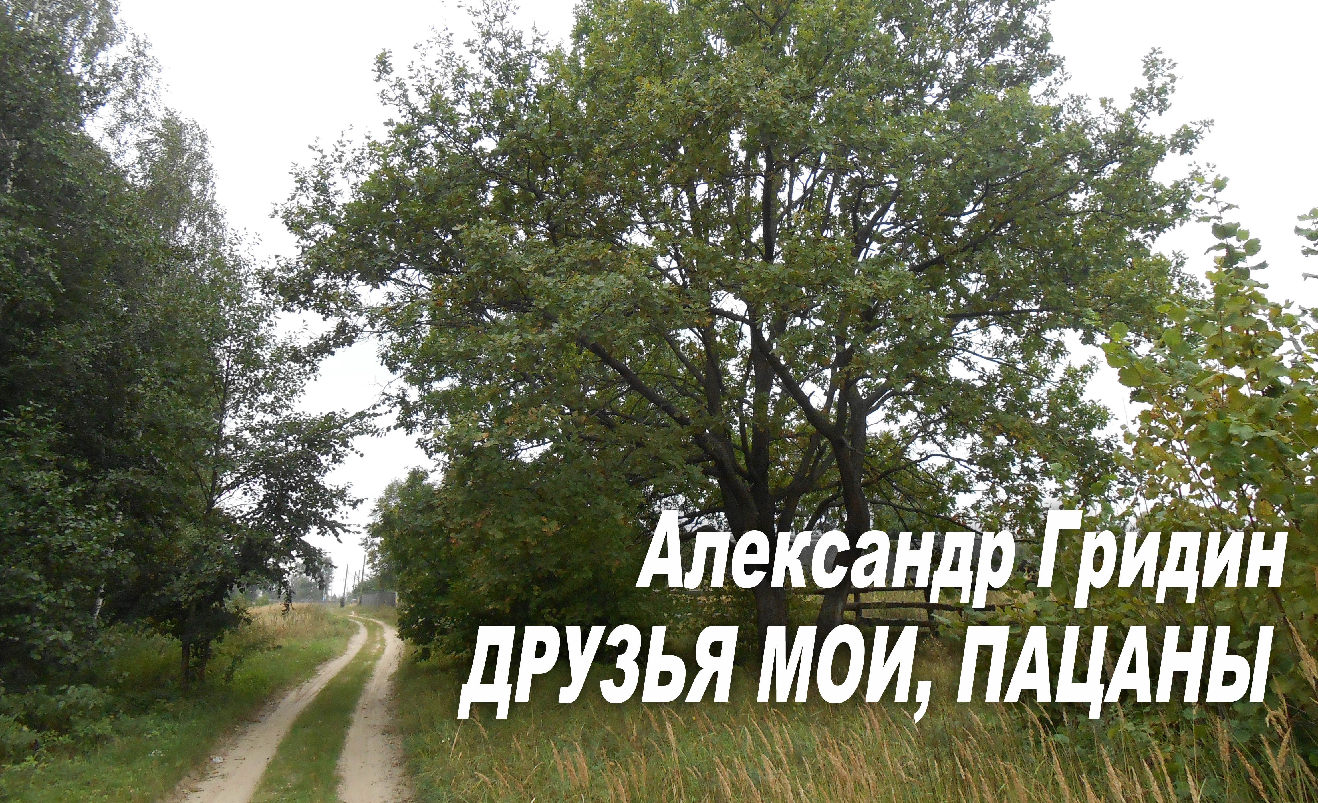 Александр Гридин: Друзья мои, пацаны