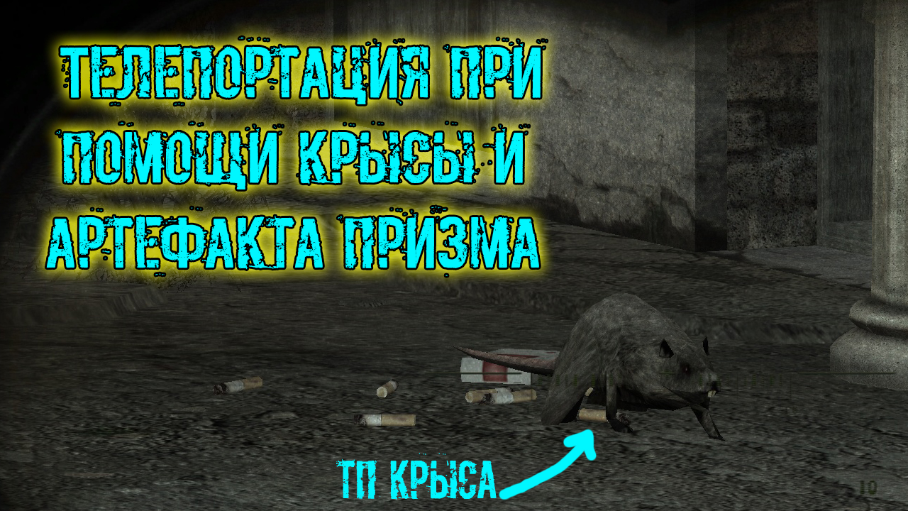 ввз Воспоминание. пда Мухи. странная крыса во дворе. Телепортация при помощи крысы и артефакта
