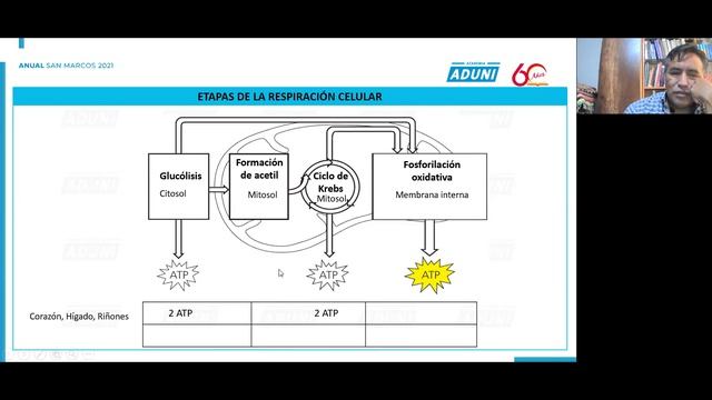 San Marcos Anual 2021 | Semana 07 Biología
