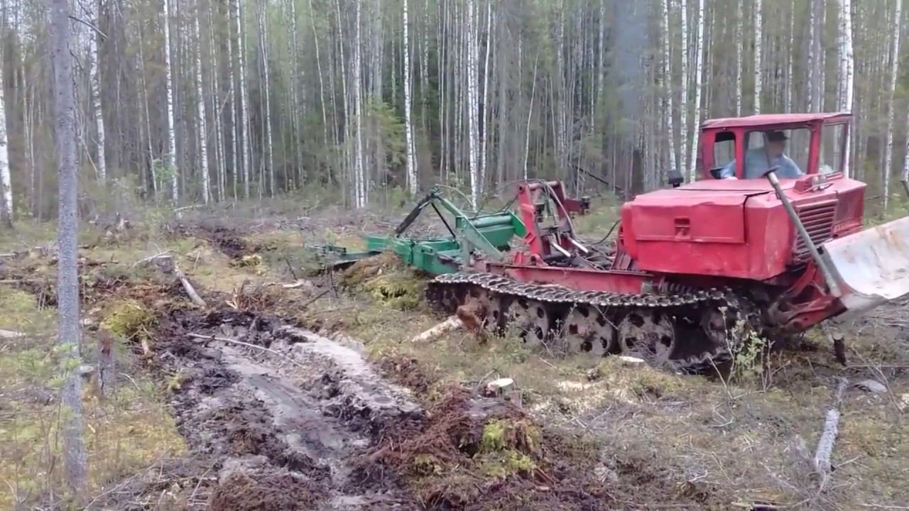 плуг лесной ПЛ 1-1 в работе с навеской НЗ 80( трактор ТДТ -55 , ТТ-4 ,ТЛТ-100) от производителя