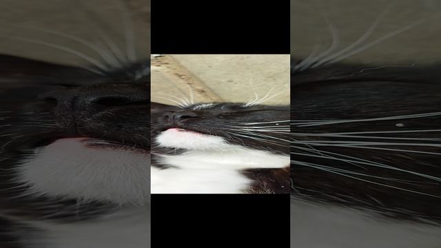 Пусть весь мир подождёт...