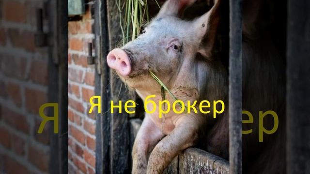 Вынес мозг мошеннице Анастасии