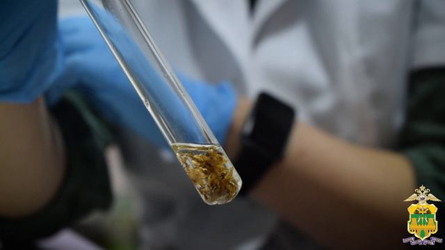 105 лет Экспертно-криминалистической службе МВД России