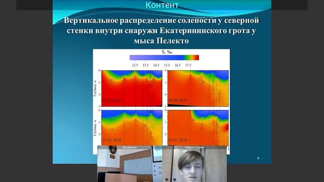 ИнБЮМ Экосистемы 2020 Д.Ю.Чайкин - Потоки биогенных элементов в очагах субмаринной разгрузки подземн