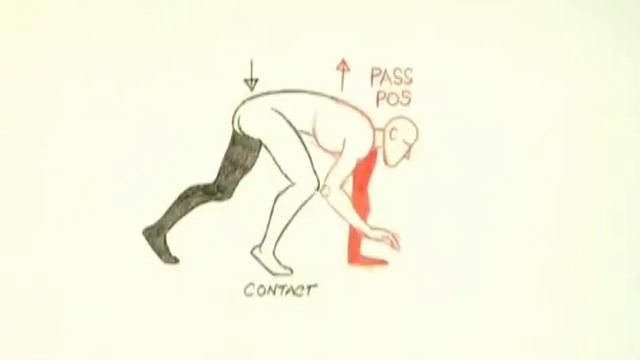 7  Sneaks, Runs, and Animal Action (Animator Survival Kit | Комплект выживания аниматора)