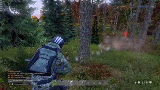 DayZ