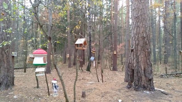 Город Нефтекамск, Тропа здоровья.