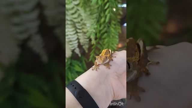 Нас рассекретили ?