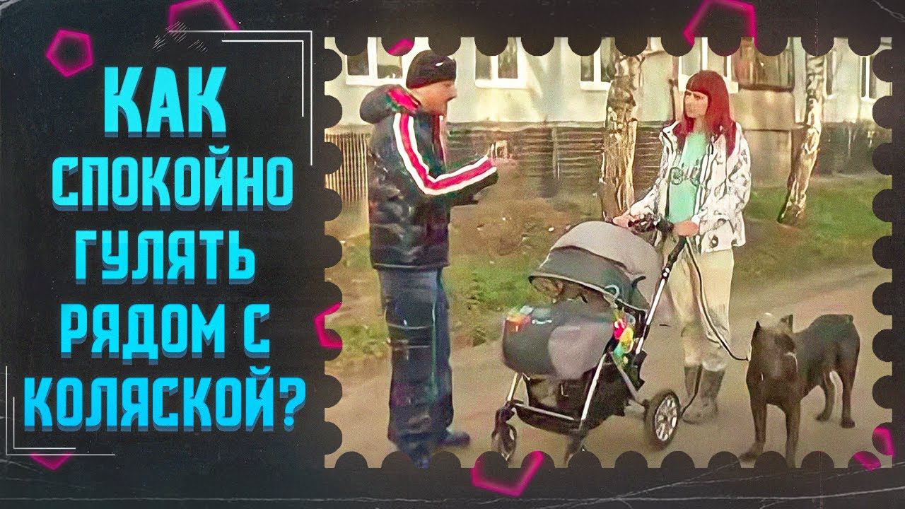 Как спокойно гулять рядом с коляской( Кане Корсо Делли)