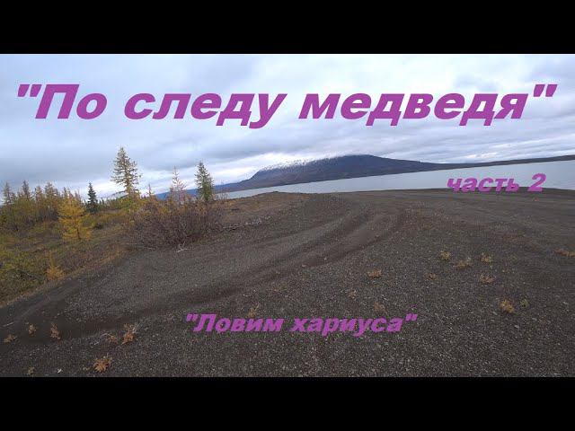 "По следу медведя", часть2 (прогулки по тундре, рыбалка и возвращение в Норильск).
