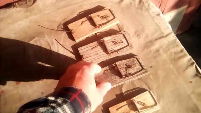 Самая лучшая в Мире мышеловка торговой марки Амекс! Осторожно! Американское качество!