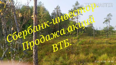 Сбербанк-инвестор. Продажа акций ВТБ..mp4