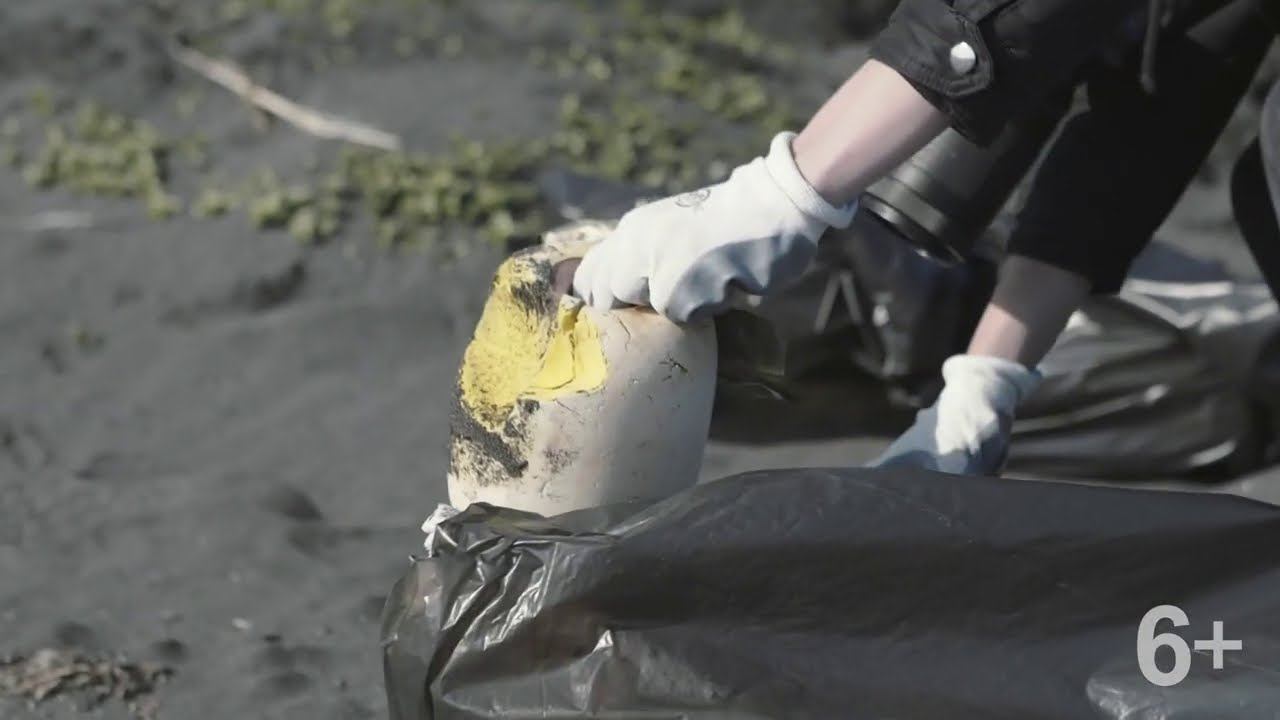 Экологические акции на Камчатке|Добрые дела на краю света|Серия 5