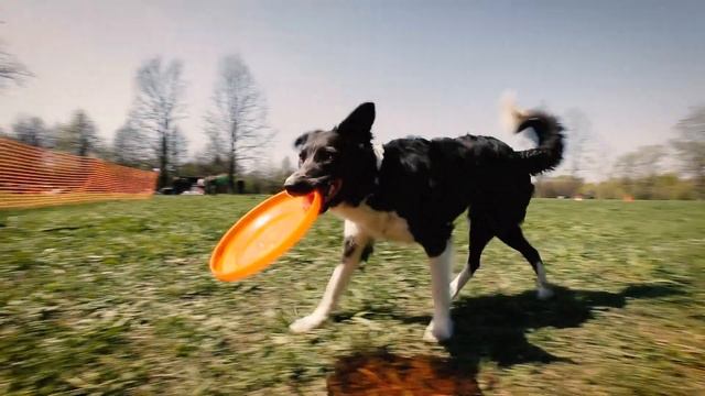 Турнир Победы Точность - открытие сезона.mp4