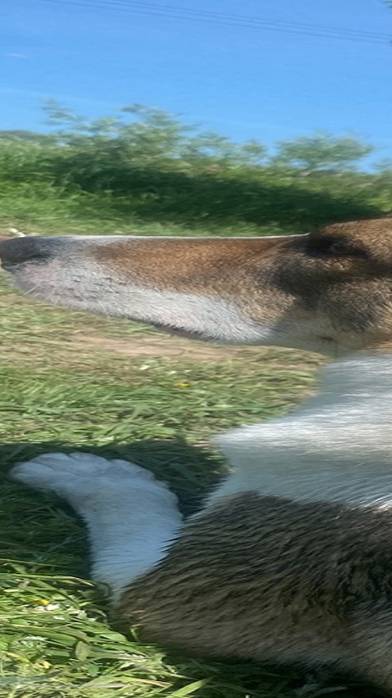 Сентябрь, еще раз искупнулся, последние теплые деньки