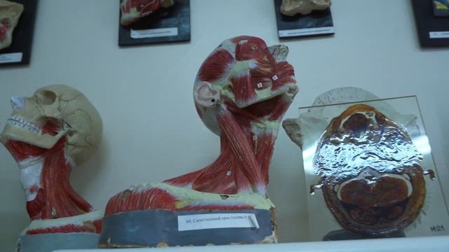 ЛЕЧЕБНЫЙ ФАКУЛЬТЕТ