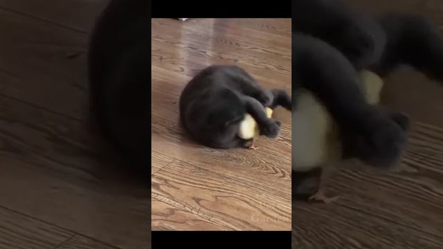 Это ты мой друг.mp4