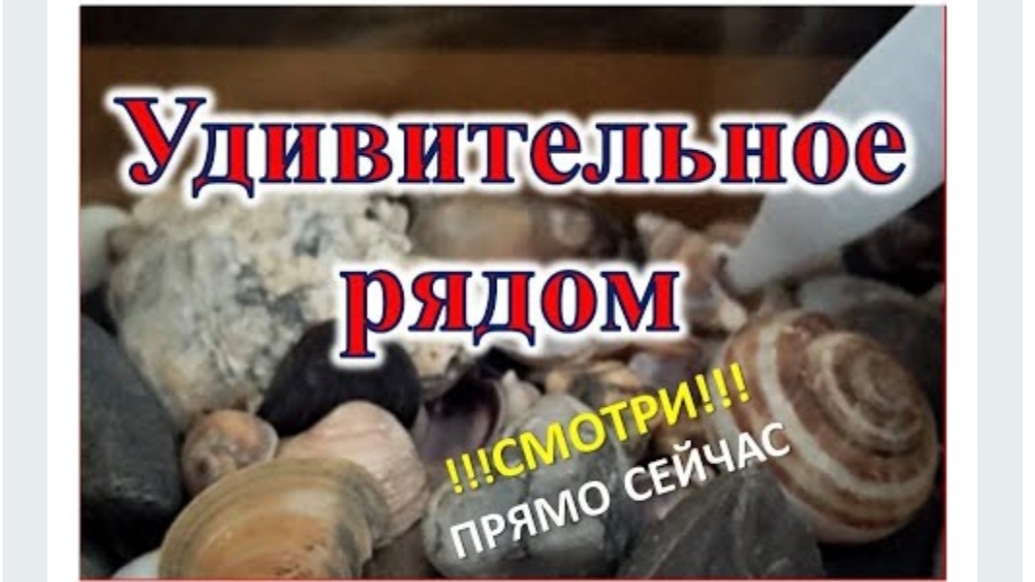 УДИВИТЕЛЬНОЕ РЯДОМ. Александра Миркушова