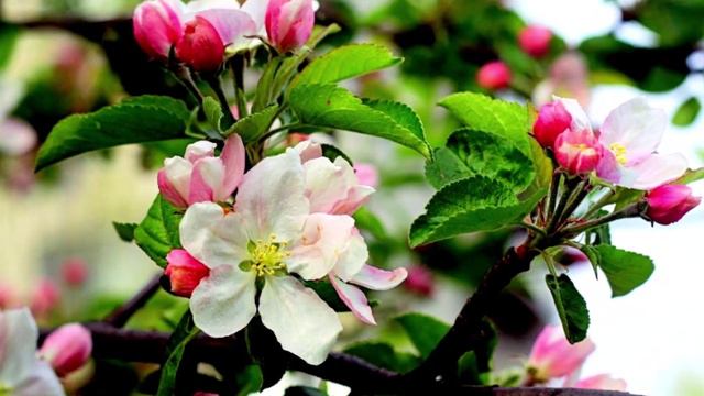 Переориентация Международных Организаций.