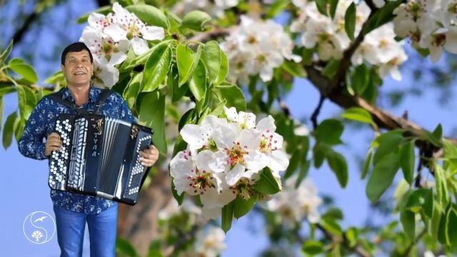 ??За Душу Берёт !!!?"ОДИН РАЗ В ГОД САДЫ ЦВЕТУТ"?СЕРГЕЙ АНАЦКИЙ