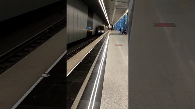 Прибытие поезда на станцию "Ломоносовский проспект"