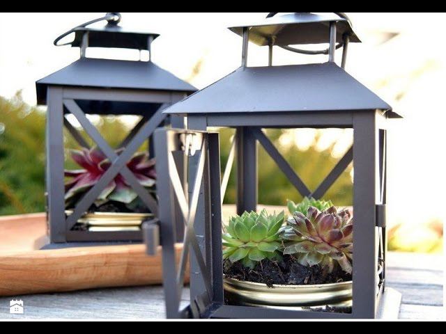 Волшебный Садовый Светильник из Лампы и Суккулентов Своими Руками